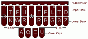 What is steno? | stenoodie